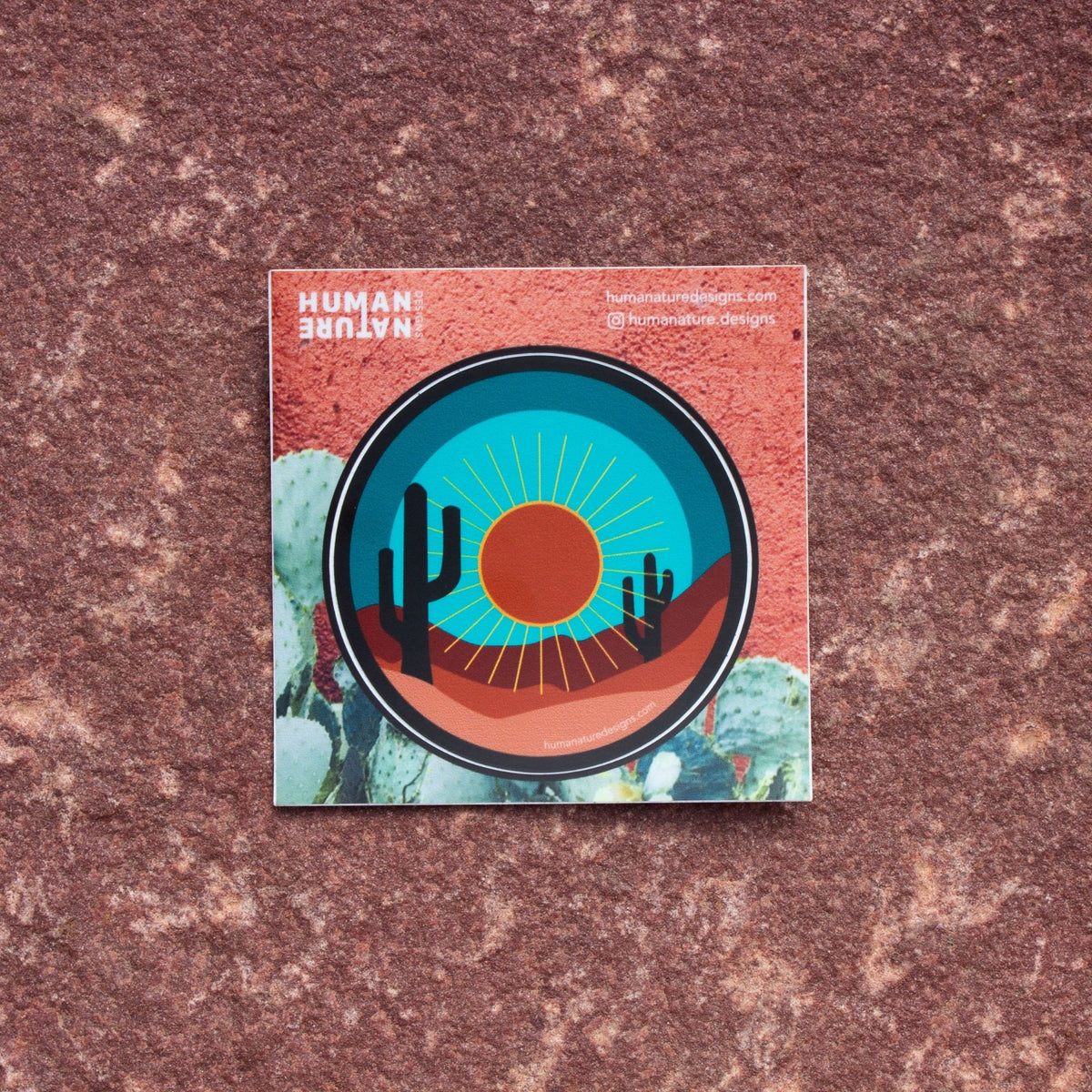 Desert Cactus Sticker - Vinyl Sticker & Decal | Gifts, Souvenirs, and ...